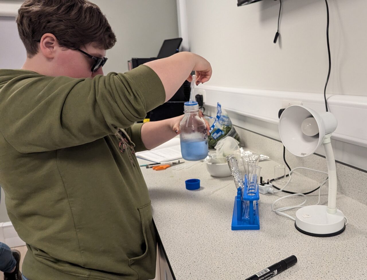 Chestnut Place | Wider Ambition